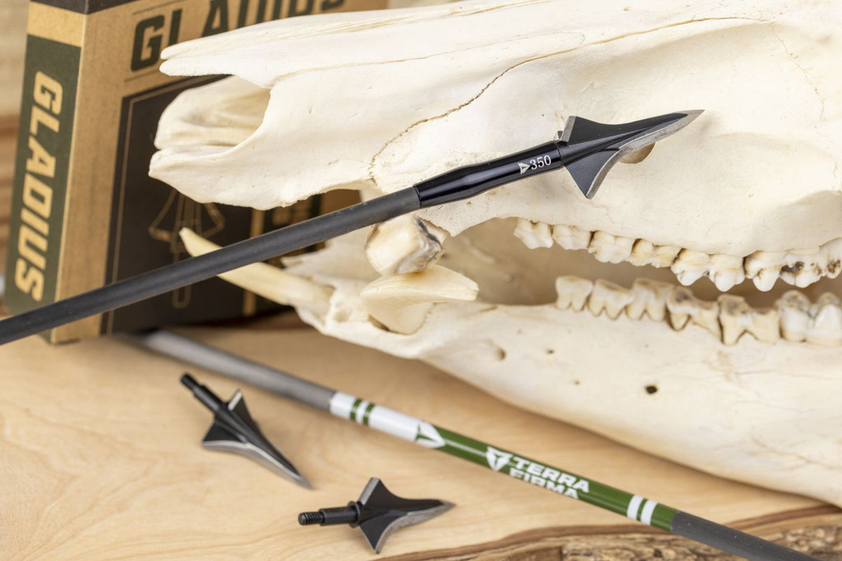 TERRA FIRMA GLADIUS BROADHEAD - 3 PACK – Combat Kit Australia