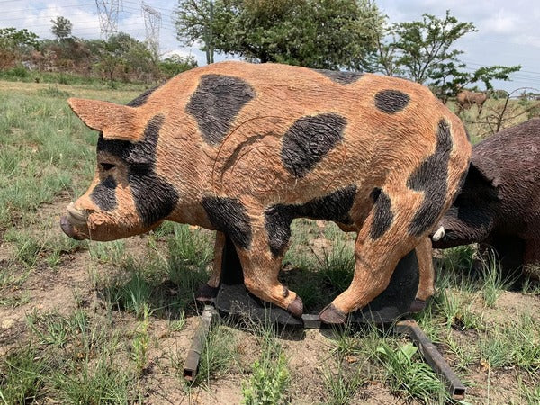 WILDCRETE AUSTRALIAN FERAL BOAR 3D ARCHERY TARGET – Combat Kit Australia