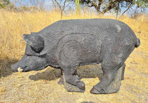 WILDCRETE FERAL MINI BOAR 3D FOAM TARGET – Combat Kit Australia