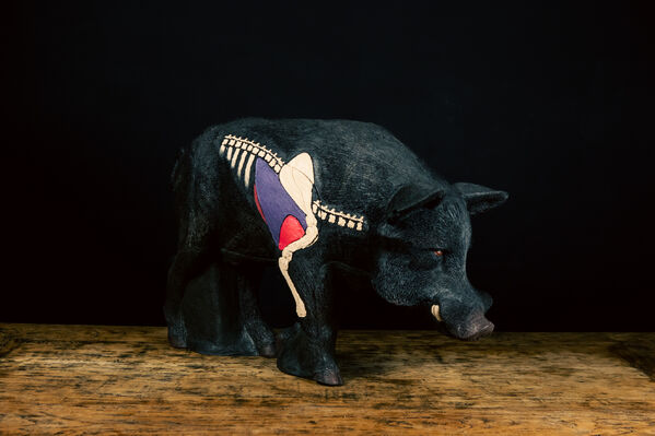 WILDCRETE FERAL BOAR VITALS 3D FOAM TARGET – Combat Kit Australia